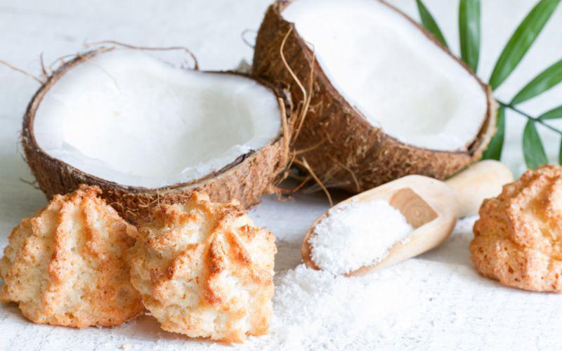 Healthy Raw Coconut Cookies – No-Bake & Vegan Friendly – Z Natural Foods